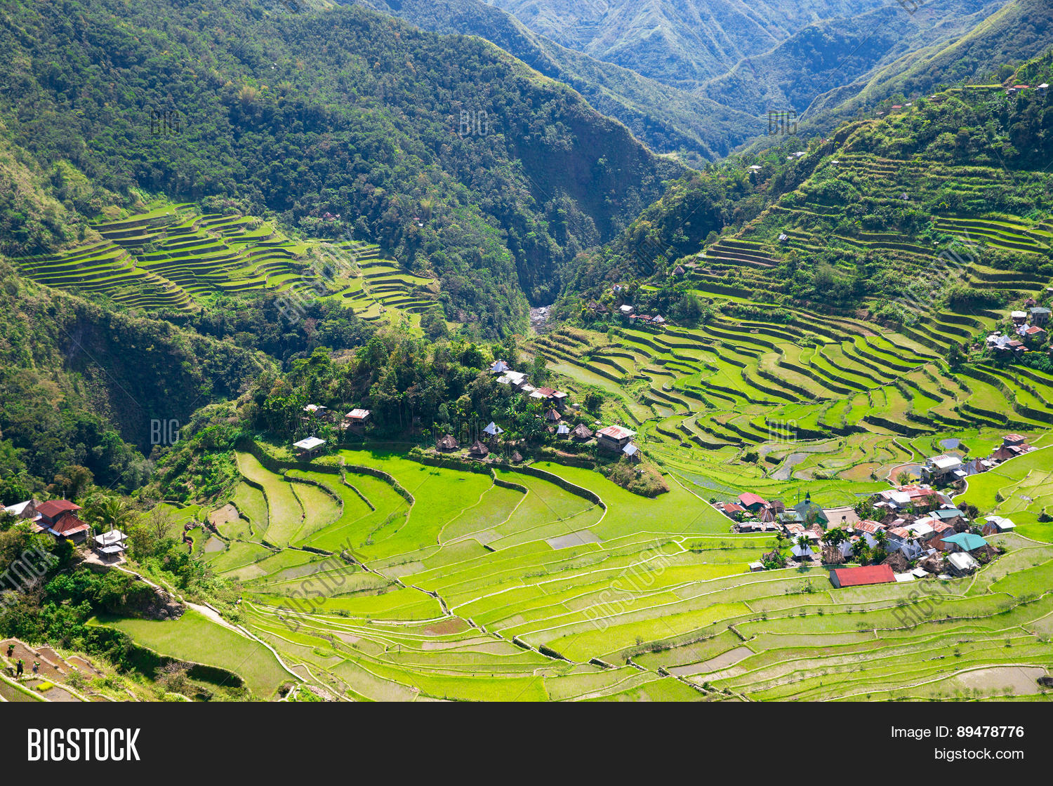Rice Terraces Image & Photo (Free Trial) | Bigstock
