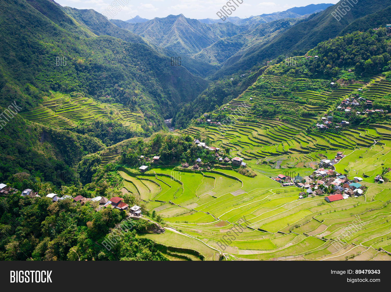 Rice Terraces Image & Photo (Free Trial) | Bigstock