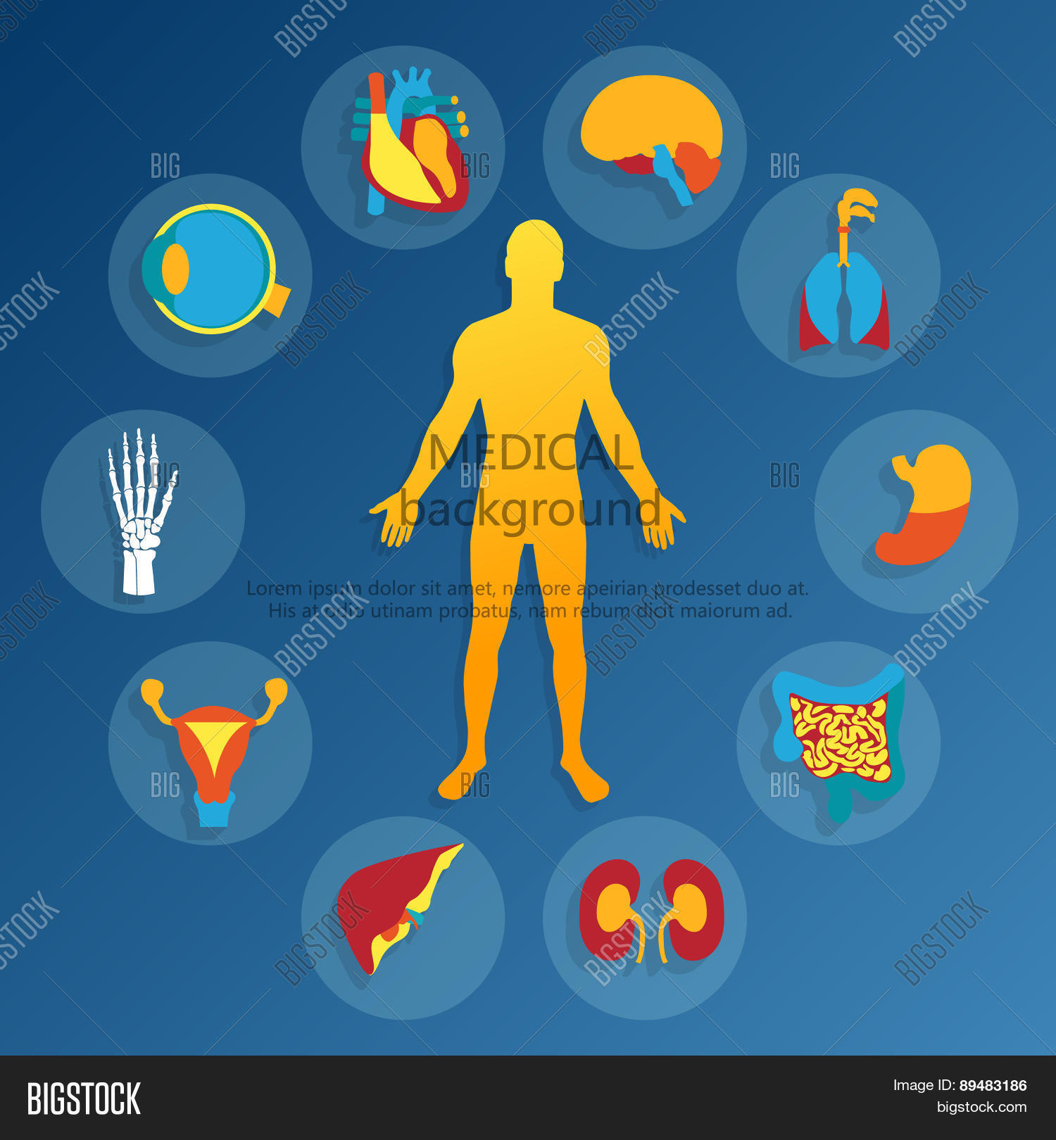 Medical Background. Vector & Photo (Free Trial) | Bigstock