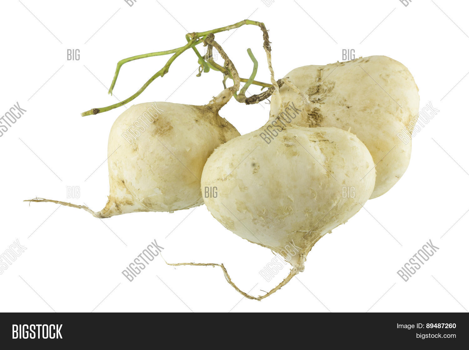 Close Jicama , Jicama Image & Photo (Free Trial) | Bigstock