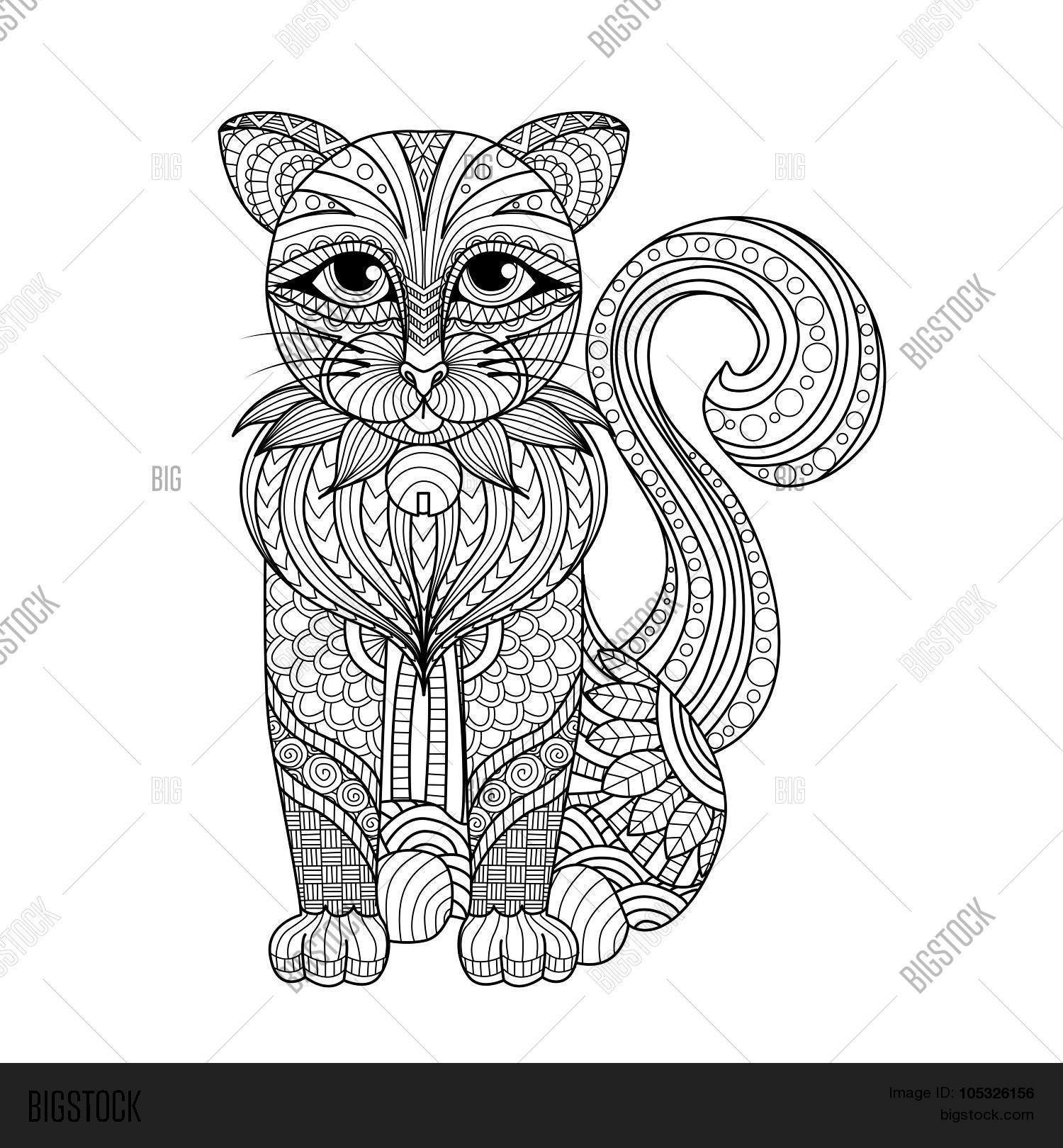 Zentangle Cat Vector & Photo (Free Trial) | Bigstock