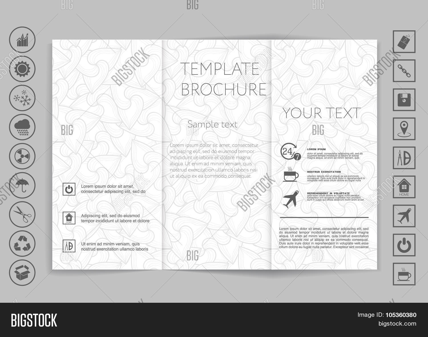 Tri-fold Brochure Vector & Photo (Free Trial) | Bigstock