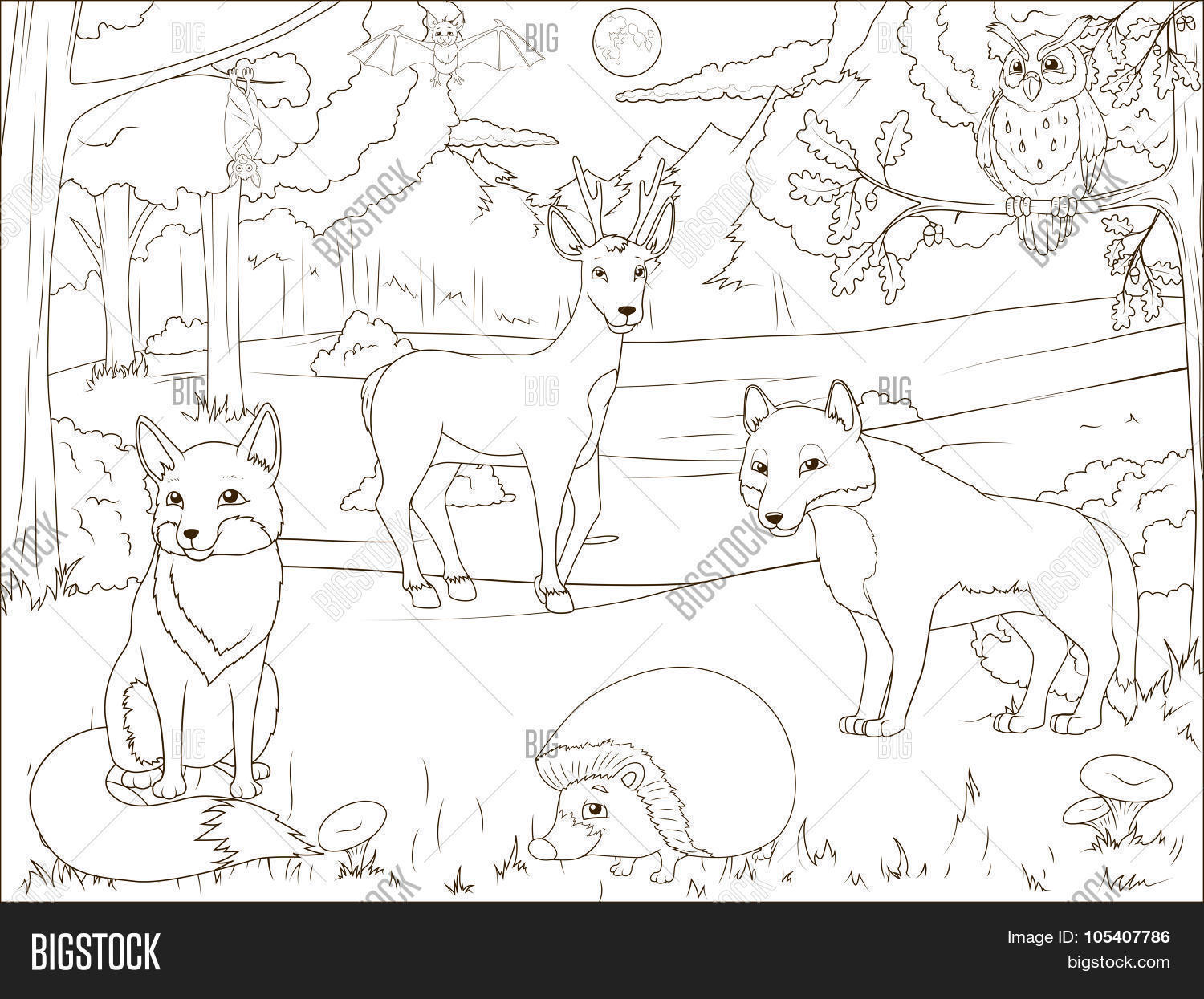 Coloring Book Forest Vector & Photo (Free Trial) | Bigstock
