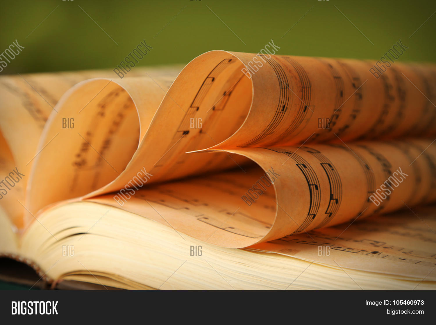 Book Pages Curved Into Image & Photo (Free Trial) | Bigstock