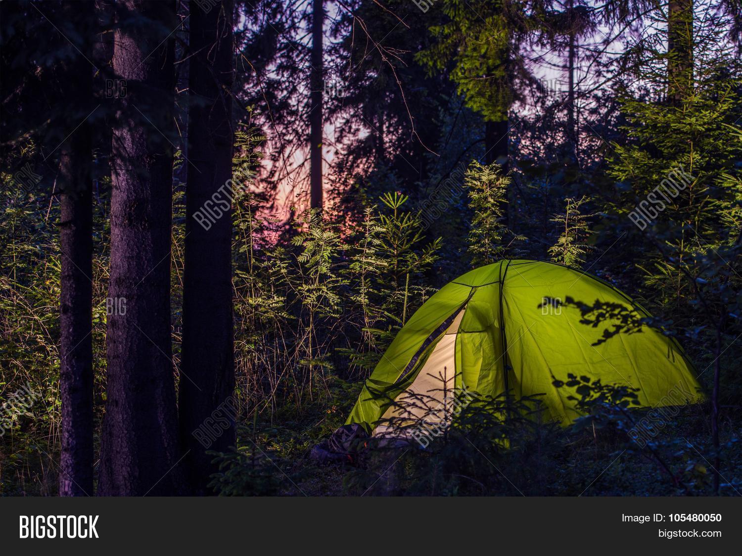 Camping Forest Image & Photo (Free Trial) | Bigstock