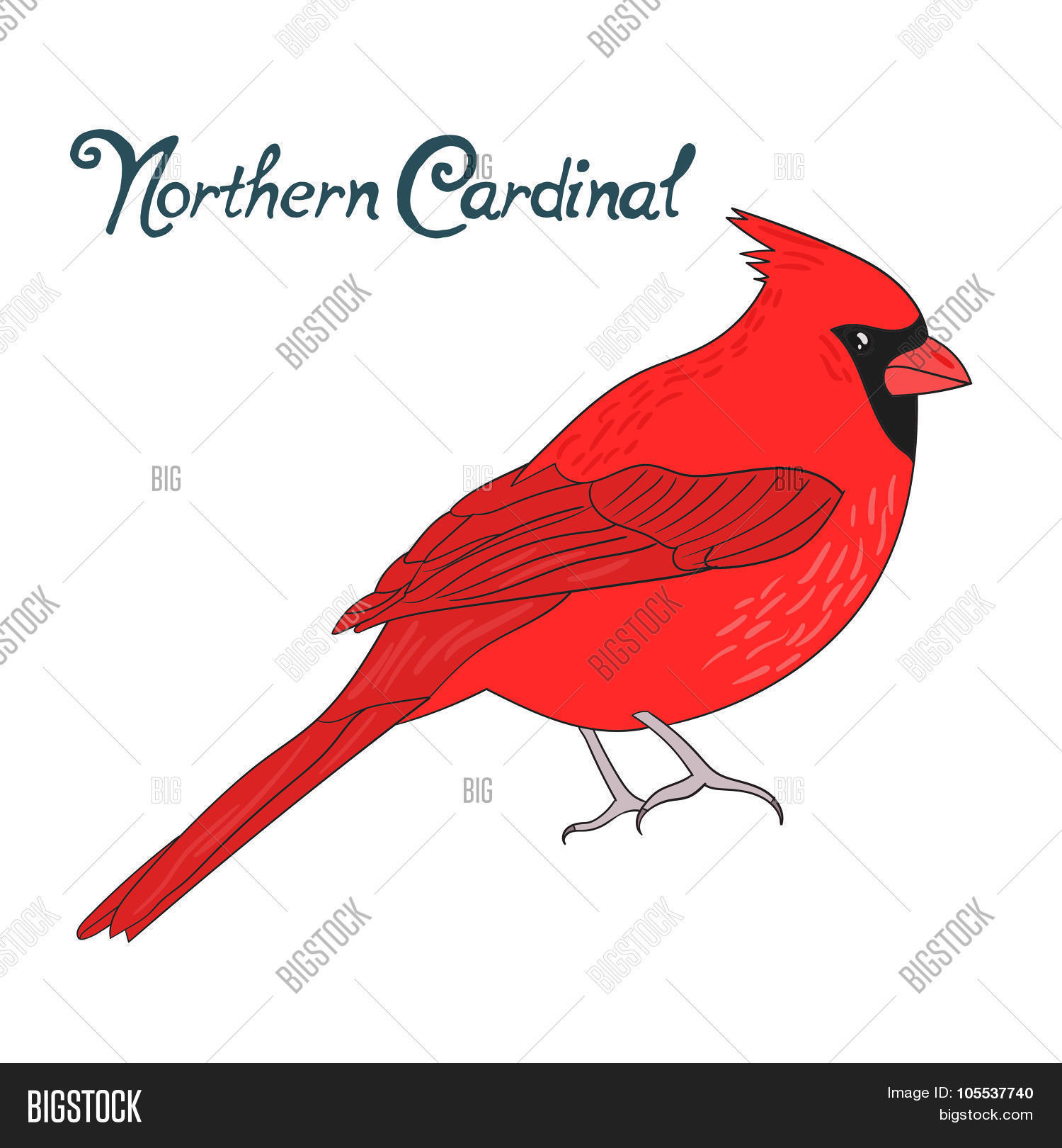 Bird Northern Vector & Photo (Free Trial) | Bigstock