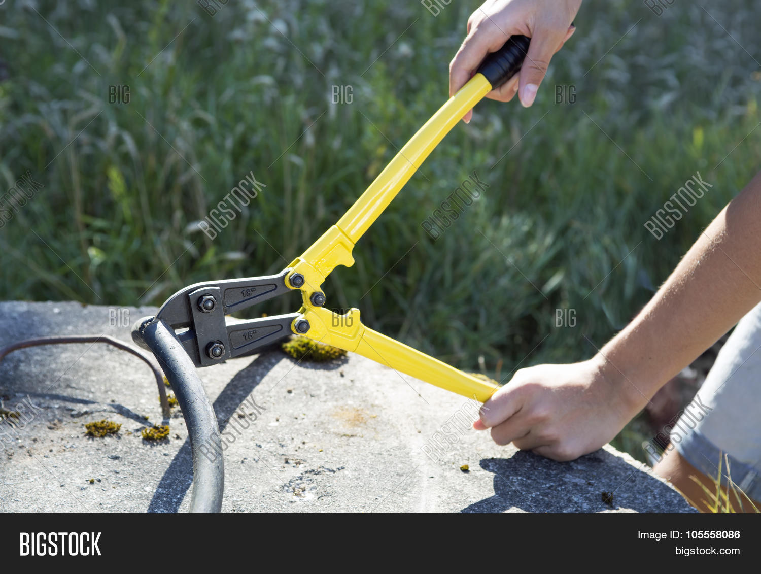 Bolt Cutter Bites Image & Photo (Free Trial) | Bigstock