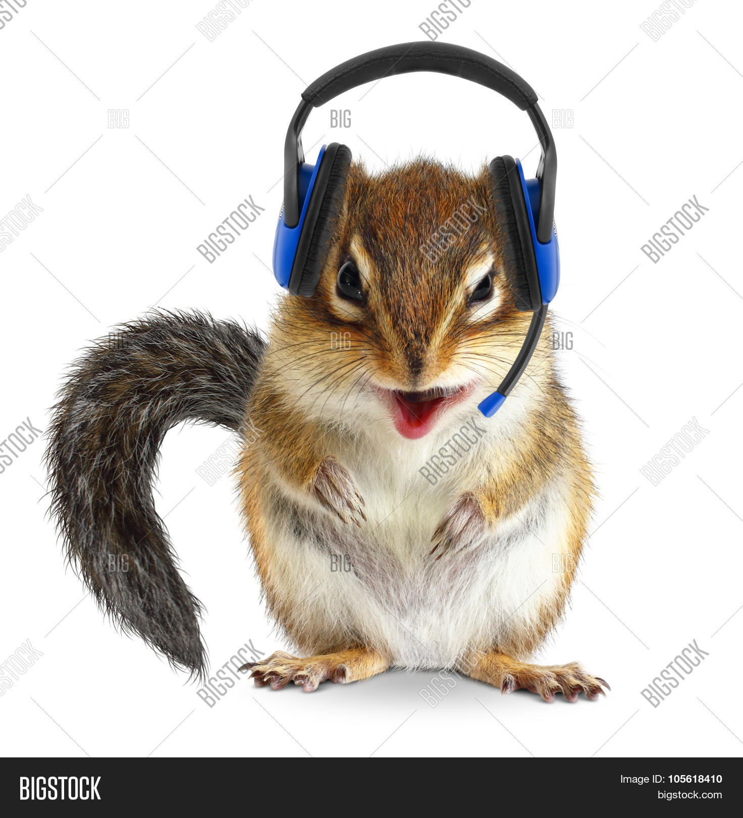 Funny Animal Call Image & Photo (Free Trial) | Bigstock