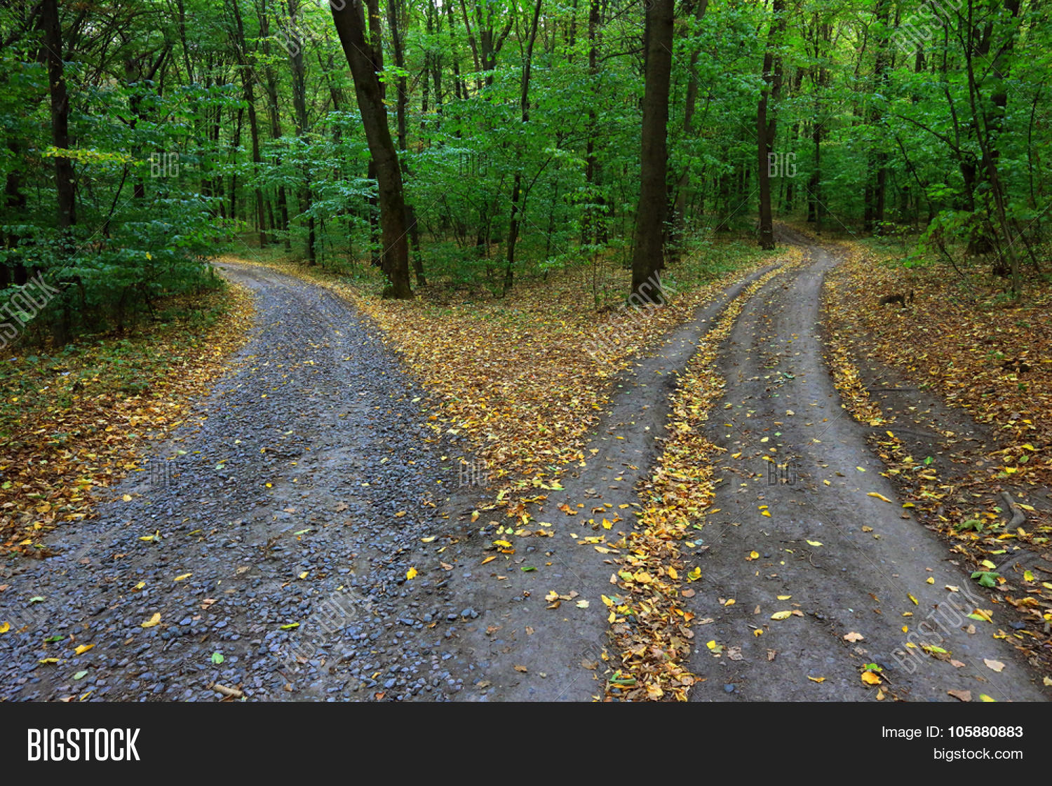 Landscape Fork Rural Image & Photo (Free Trial) | Bigstock
