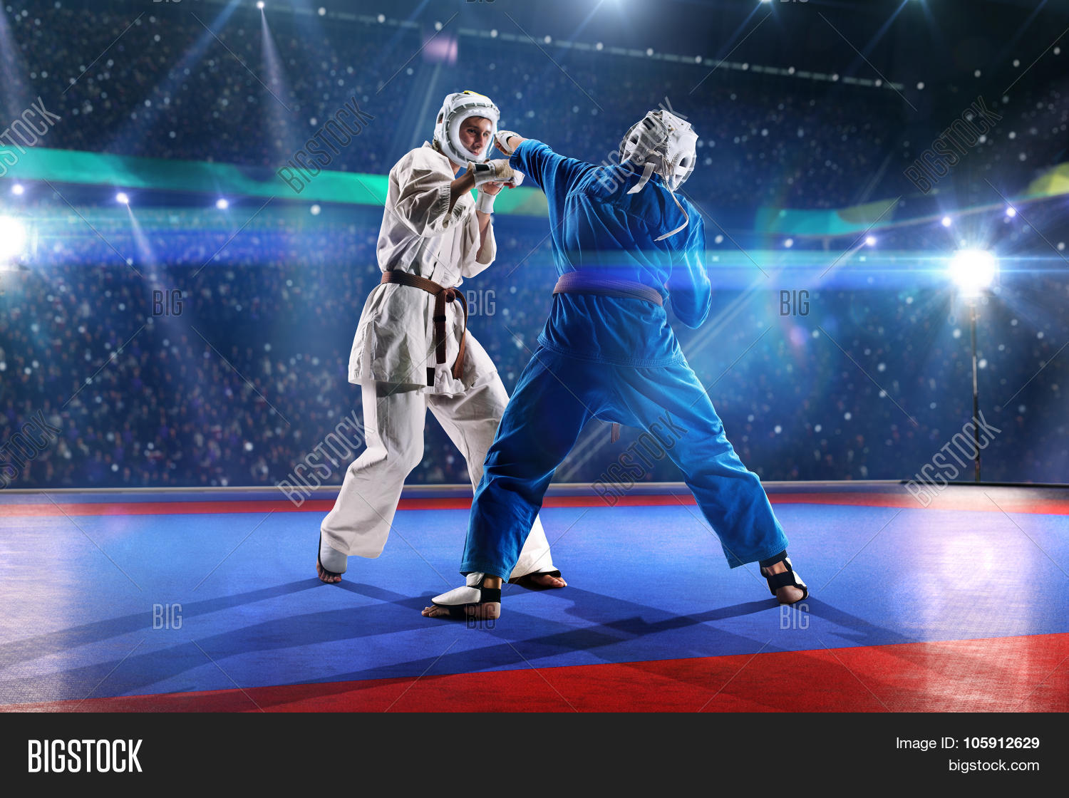Imagen y foto Two Kudo Fighters (prueba gratis) | Bigstock