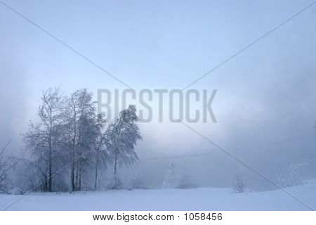 Withering Trees Image & Photo (Free Trial) | Bigstock
