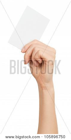 Womans Hand Vertical Image & Photo (Free Trial) | Bigstock