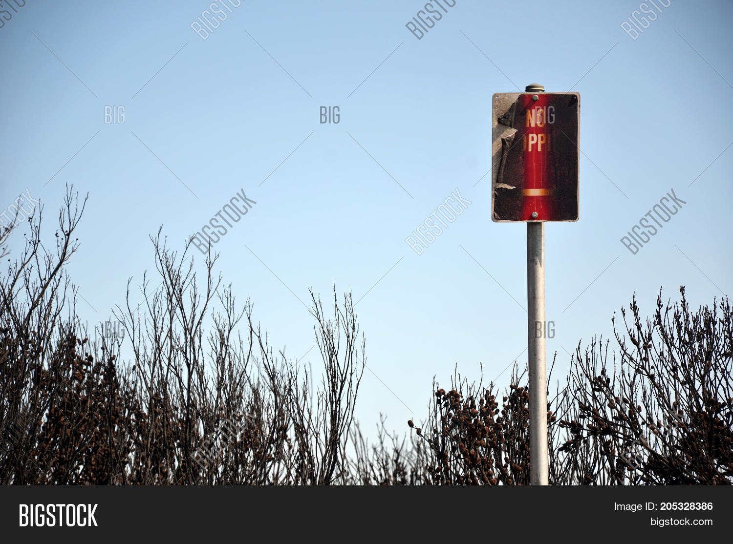 No Stopping Sign Burnt Image & Photo (Free Trial) | Bigstock