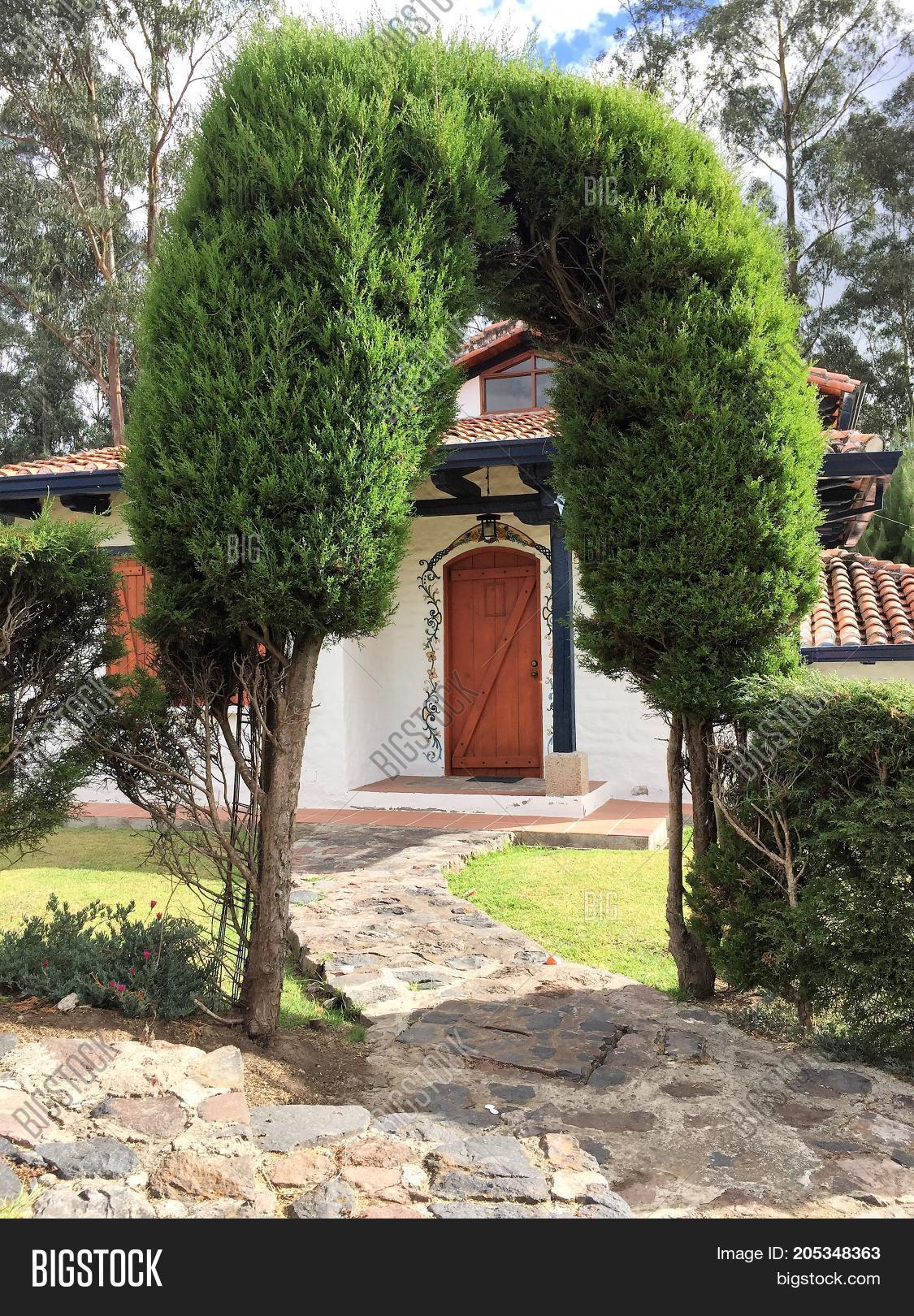 Arch Trees Entrance Image & Photo (Free Trial) | Bigstock