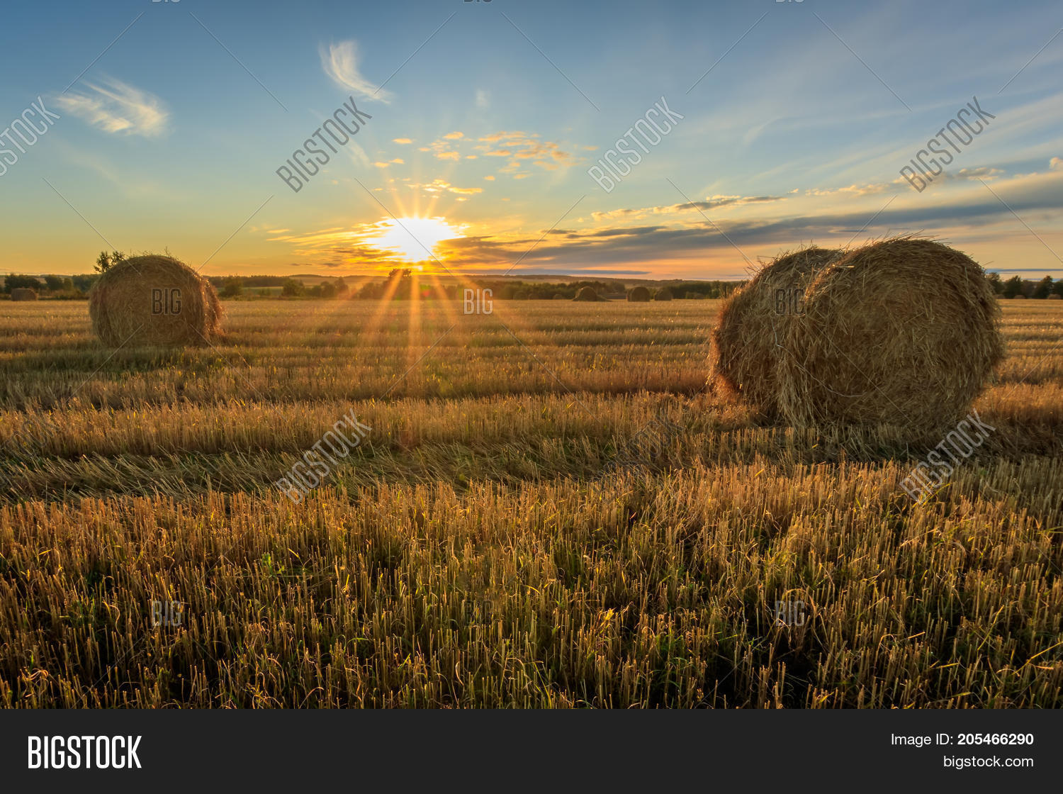 Haystacks On Field Image & Photo (Free Trial) | Bigstock