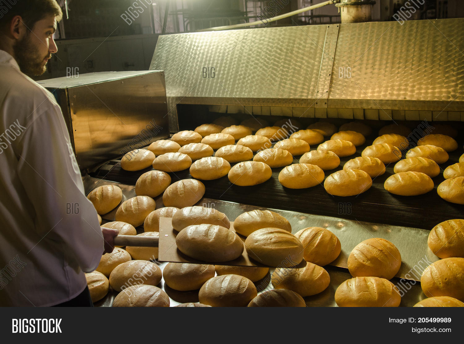 Baker. Young Handsome Image & Photo (Free Trial) | Bigstock
