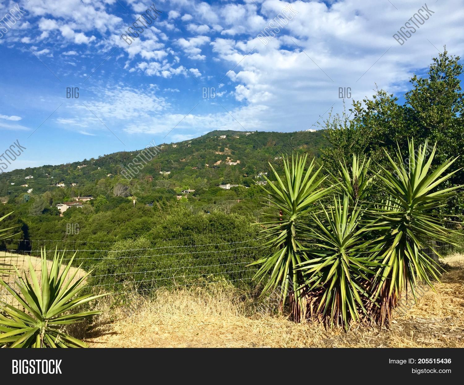 Beautiful Hillside Image & Photo (Free Trial) | Bigstock