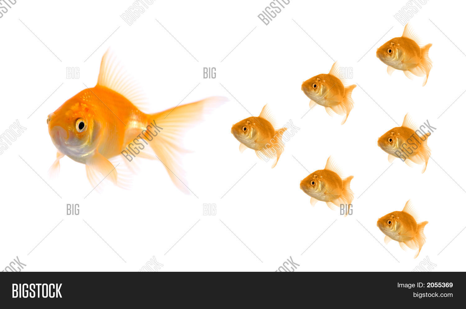 Follow Me Image & Photo (Free Trial) | Bigstock