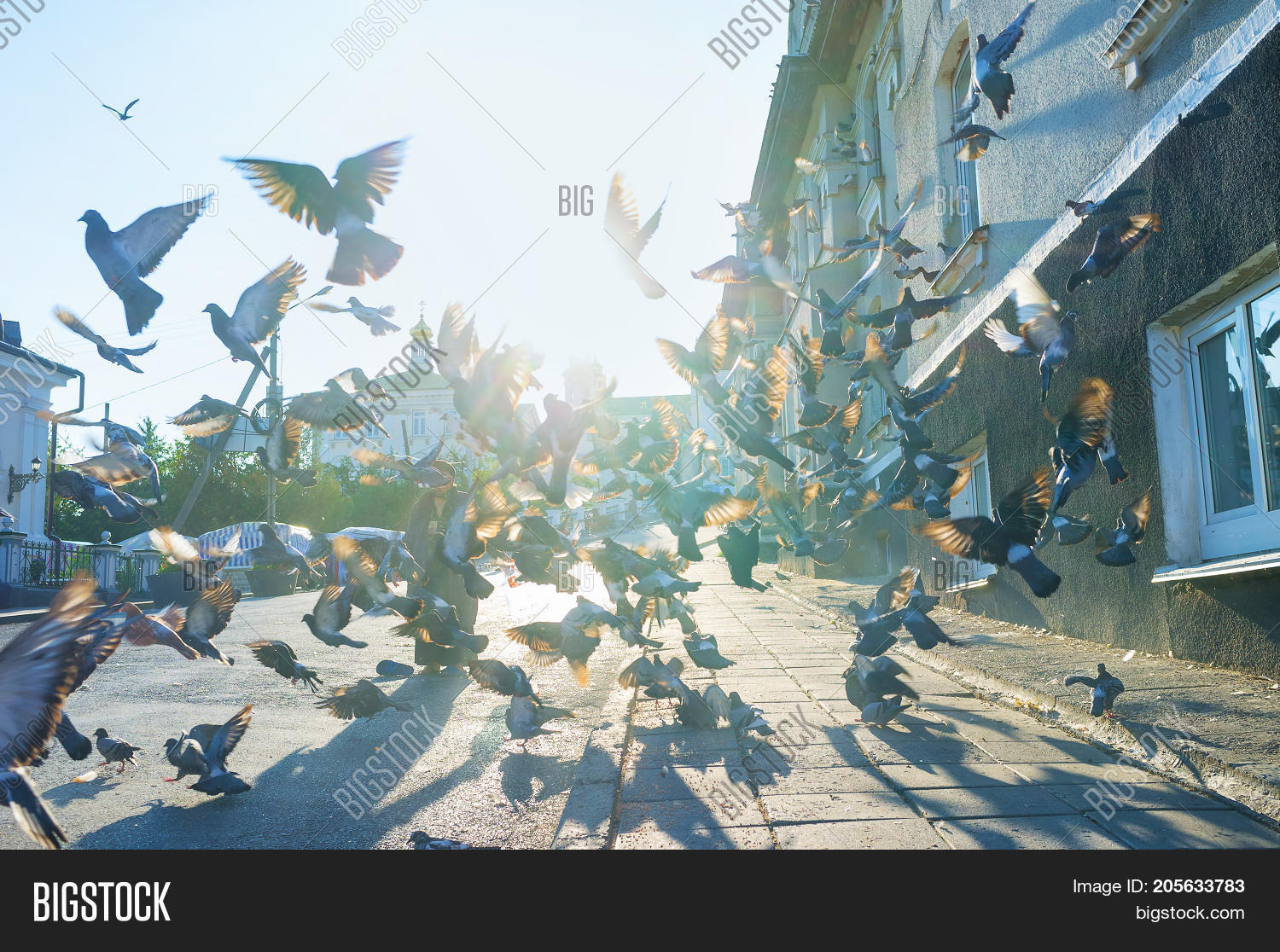 Beautiful Scene Flying Image & Photo (Free Trial) | Bigstock