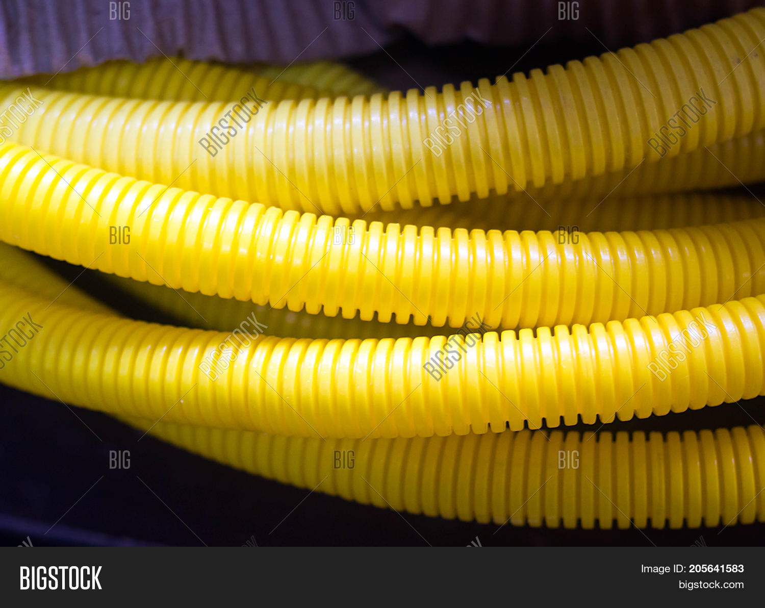 Yellow Flexible Image & Photo (Free Trial) | Bigstock