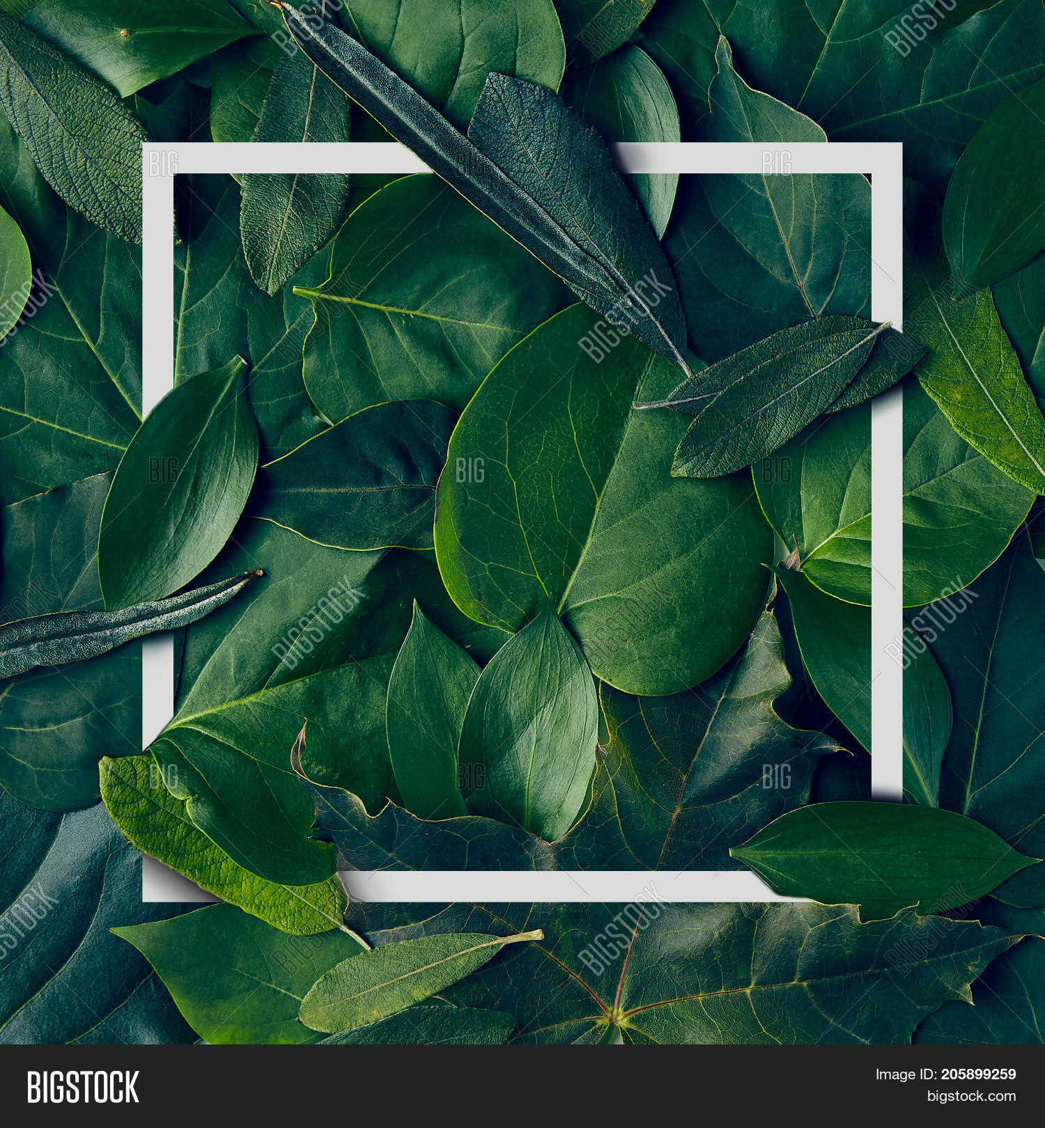 Nature Minimal Concept Image & Photo (Free Trial) | Bigstock