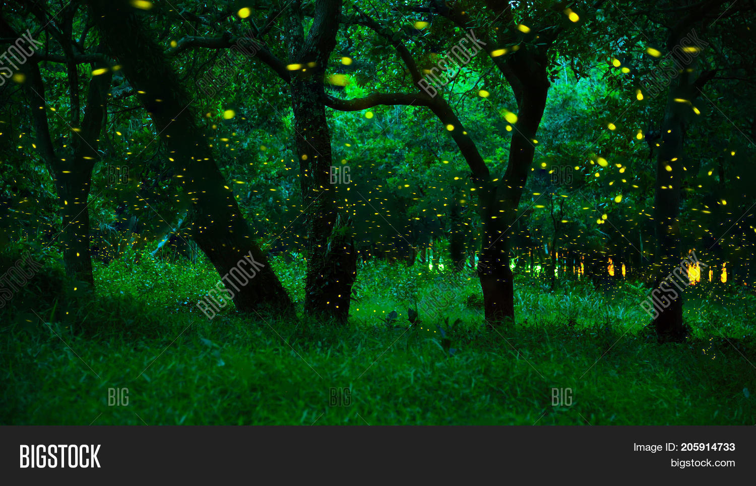 Firefly Flying Forest Image & Photo (Free Trial) | Bigstock