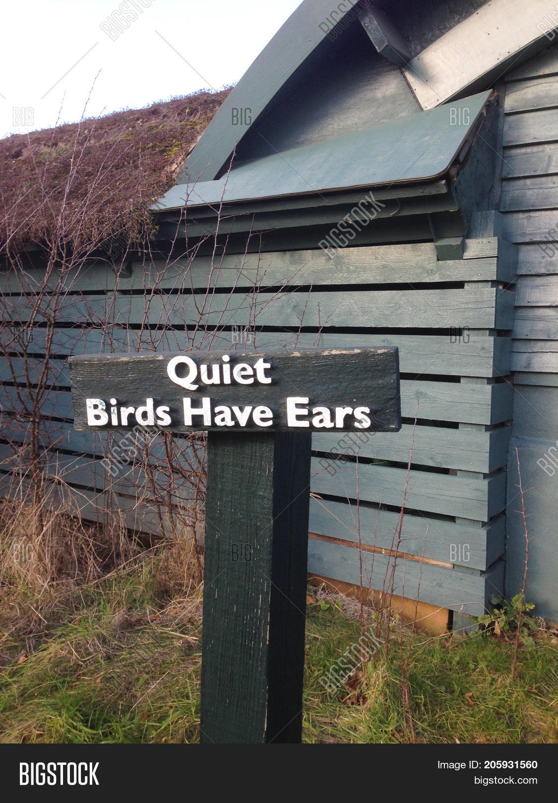 Birds Have Ears Sign Image & Photo (Free Trial) | Bigstock