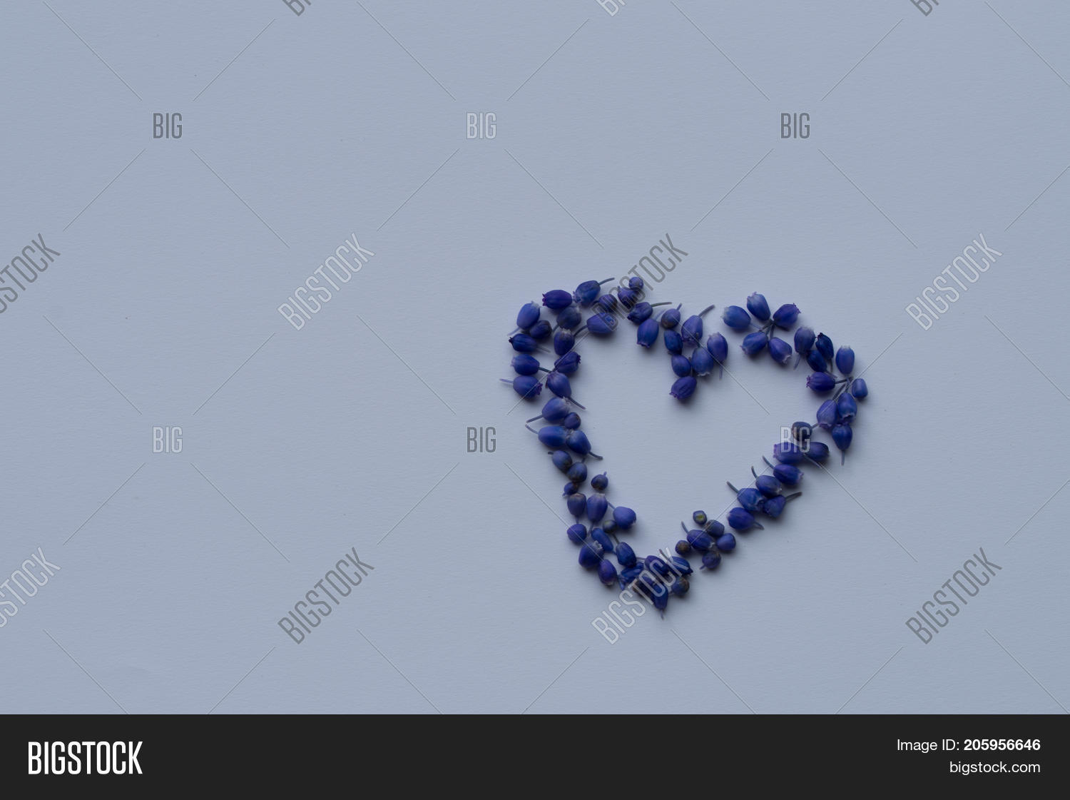 Heart Shaped Sympathy Image & Photo (Free Trial) | Bigstock