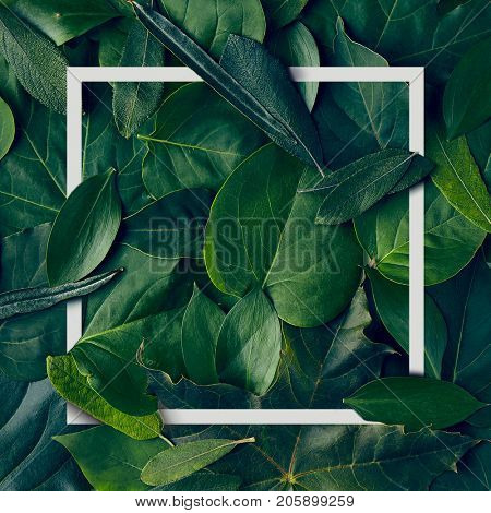 Nature Minimal Concept Image & Photo (Free Trial) | Bigstock