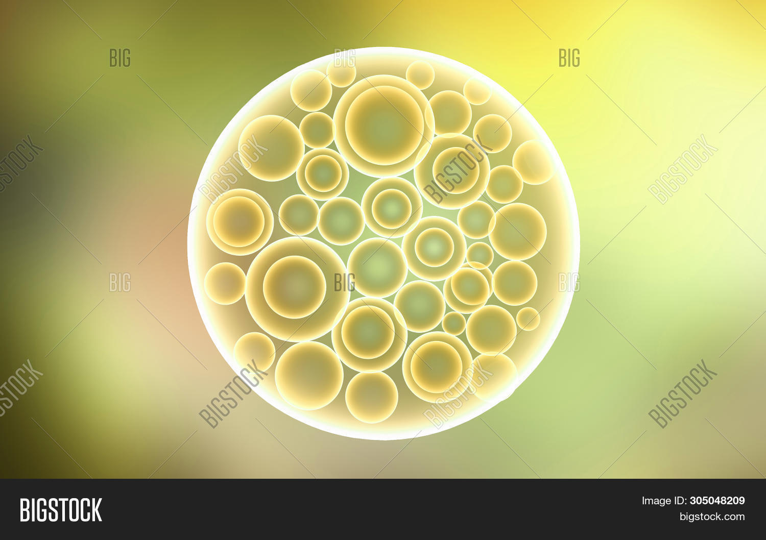 3d Rendered Blastocyst Image & Photo (Free Trial) | Bigstock