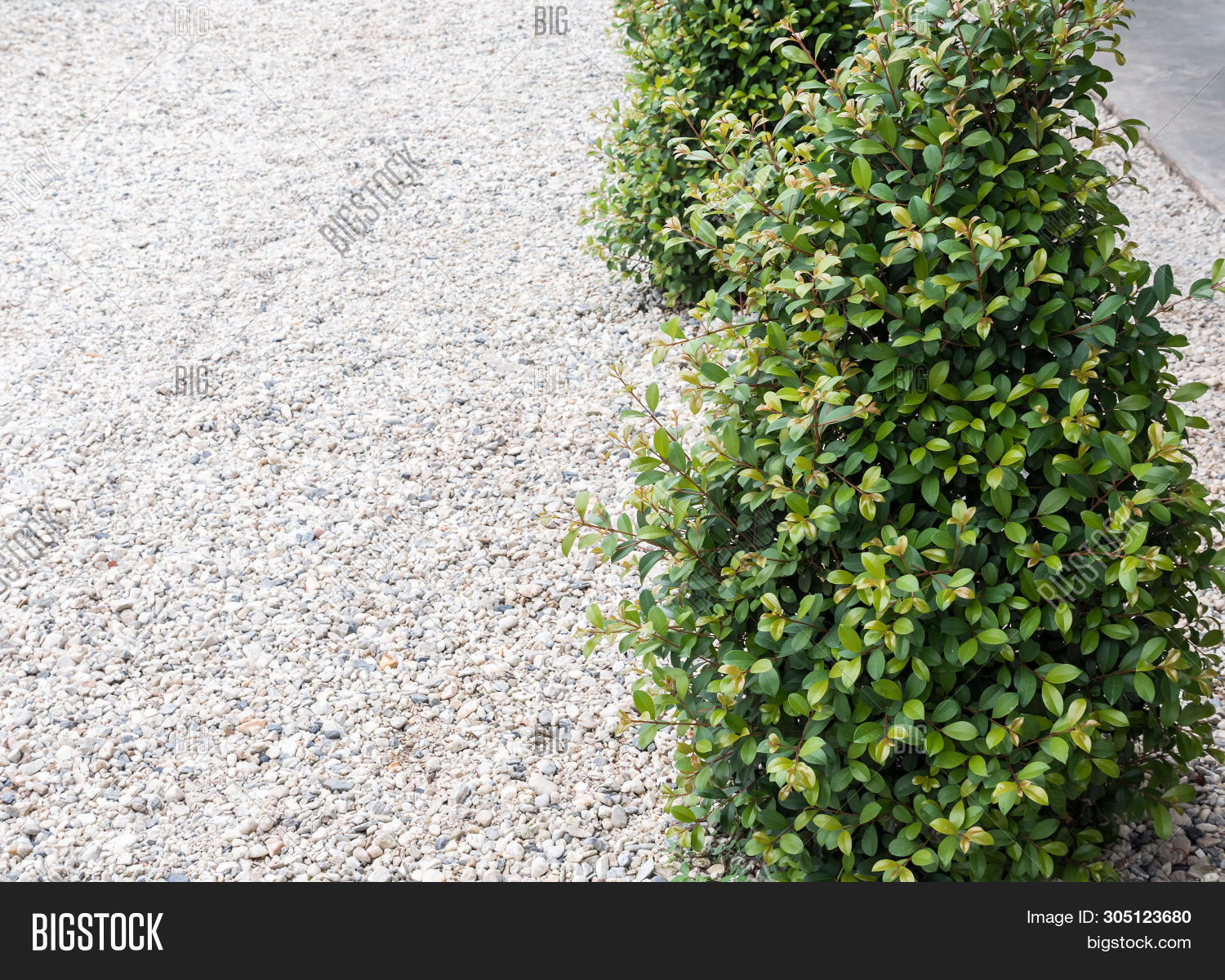 White Scree Field Image & Photo (Free Trial) | Bigstock
