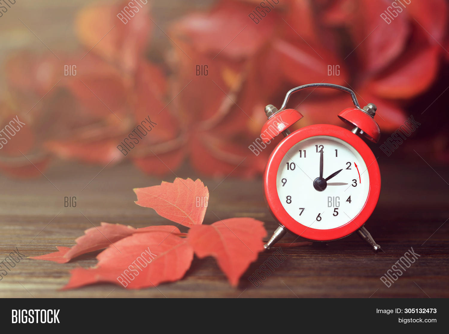 Fall Back. Winter Time Image & Photo (Free Trial) | Bigstock