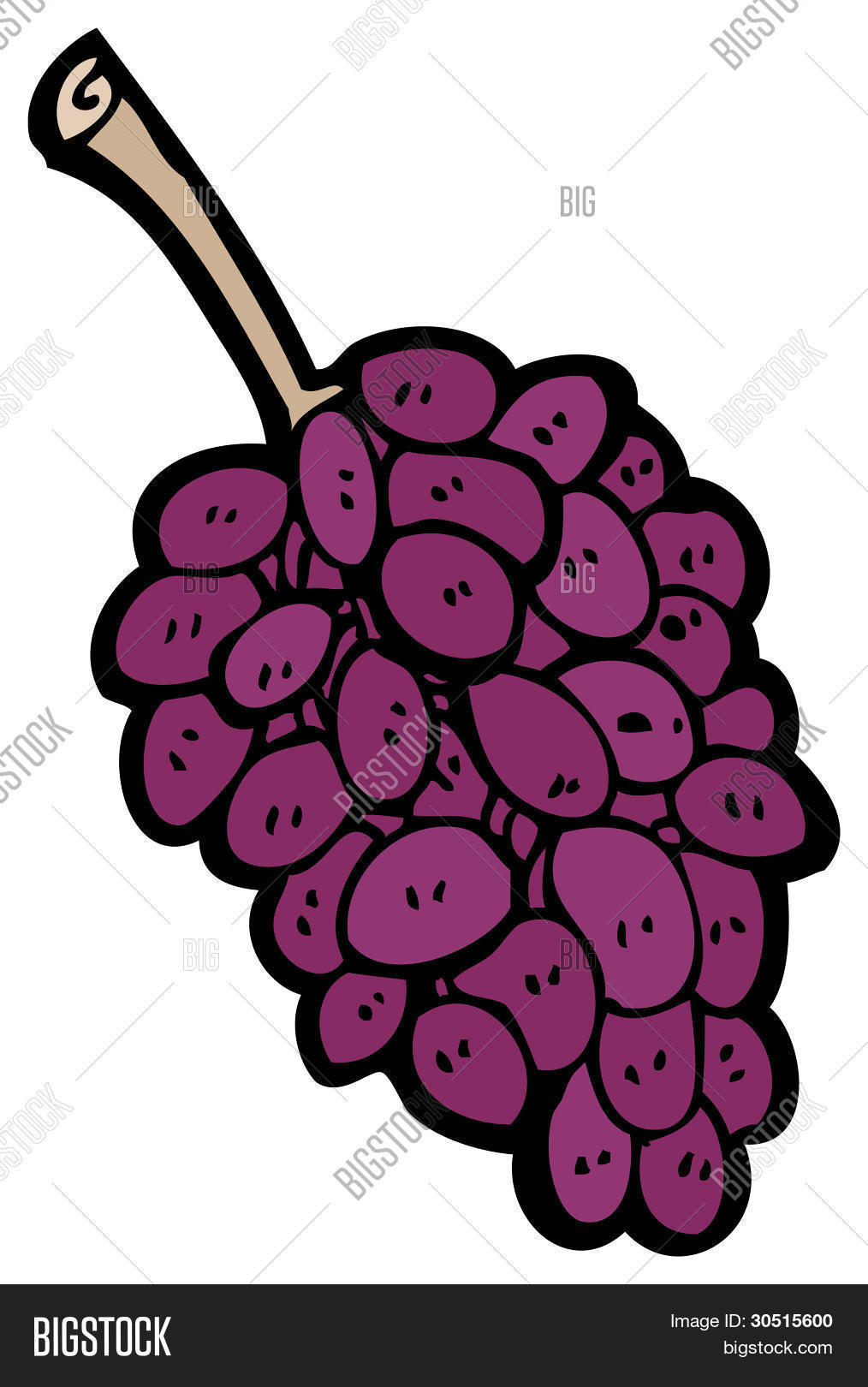 Bunch Grapes Cartoon Image & Photo (Free Trial) | Bigstock