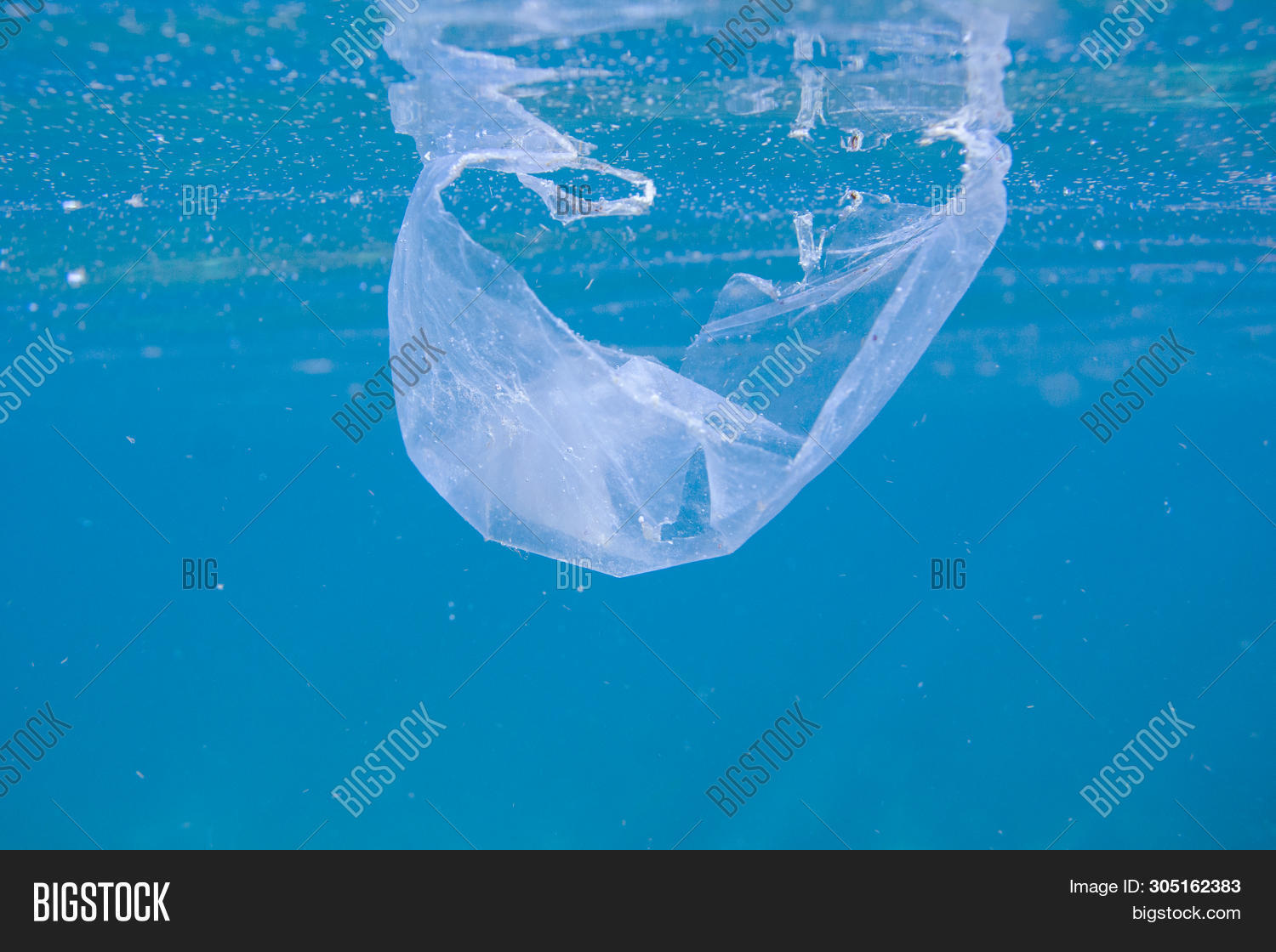 Plastic Bag Blue Sea. Image & Photo (Free Trial) | Bigstock