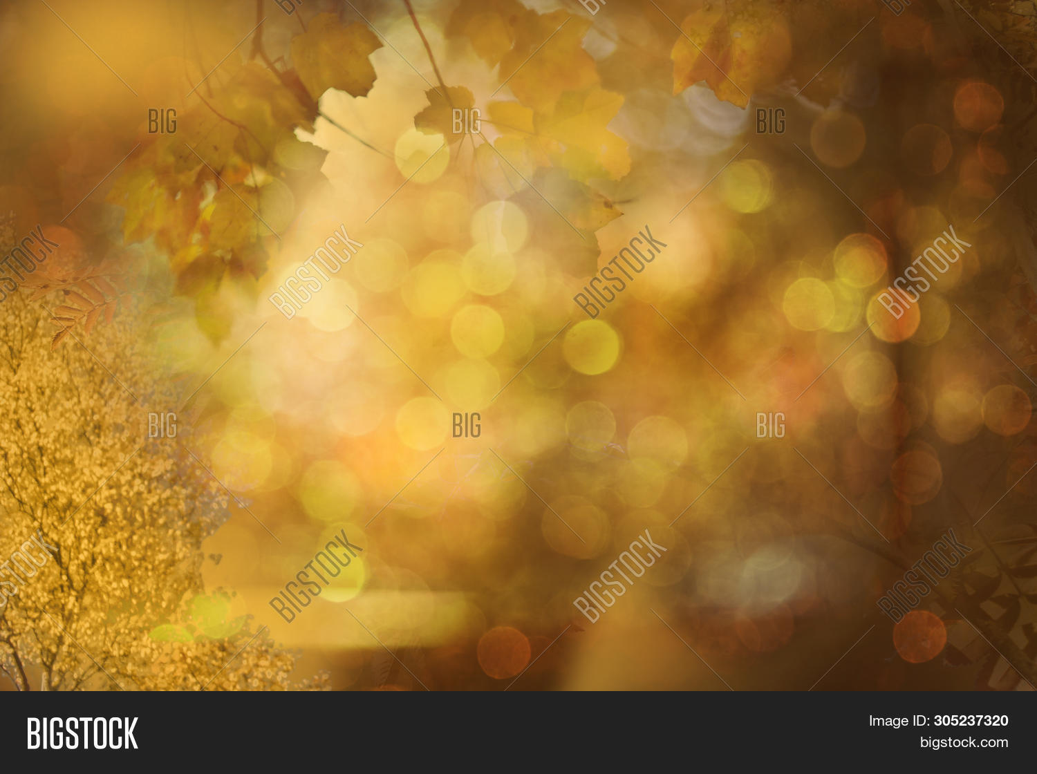 Autumn Background. Image & Photo (Free Trial) | Bigstock