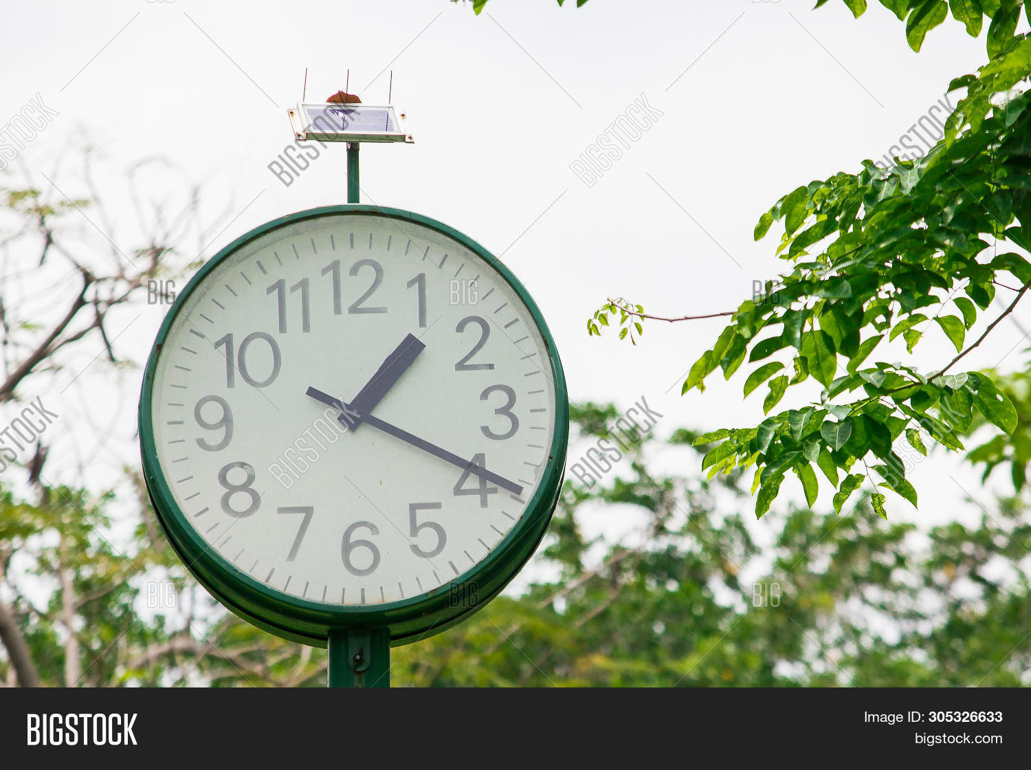Green Clock Park Image & Photo (Free Trial) | Bigstock