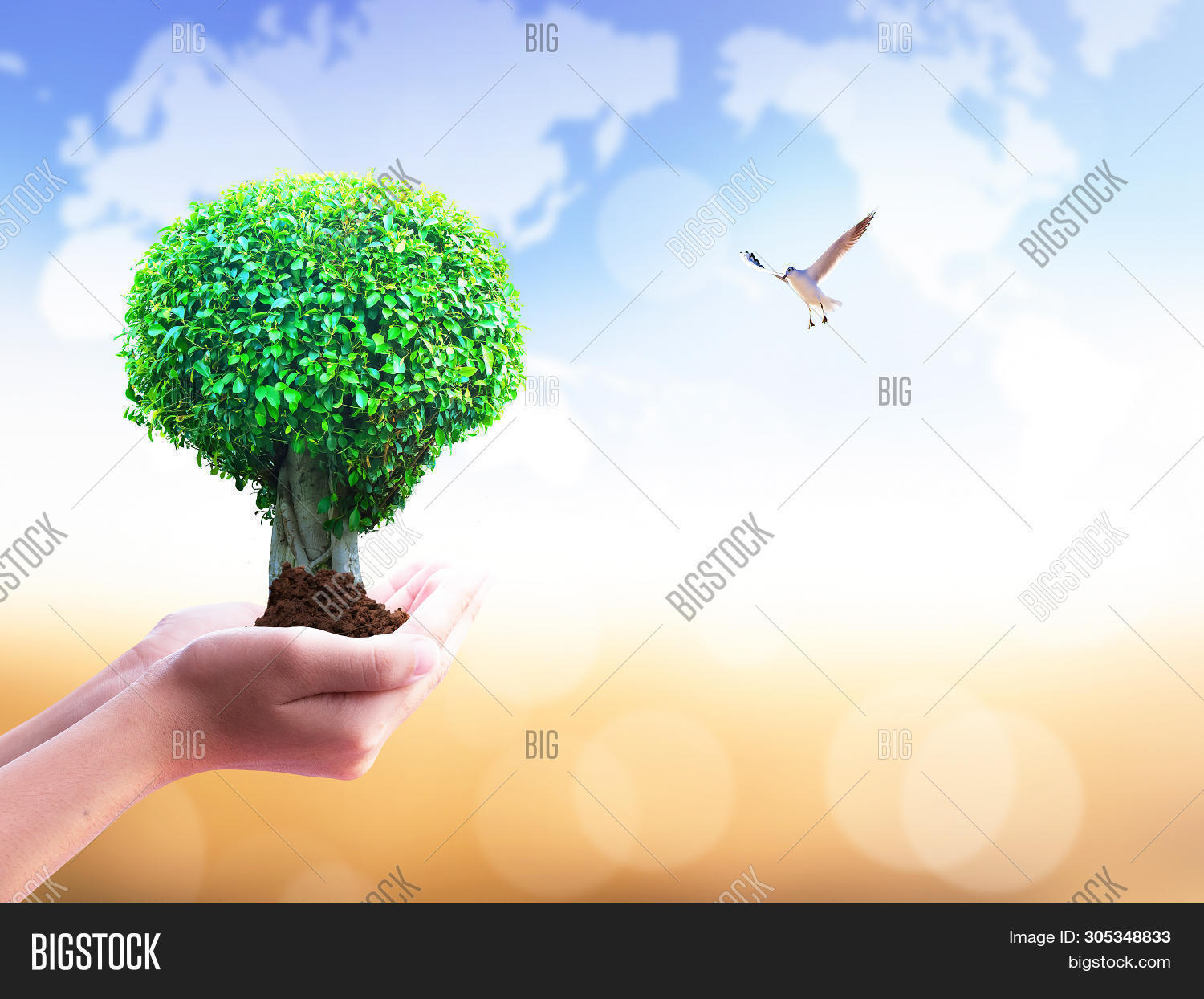 International Day Image & Photo (Free Trial) | Bigstock