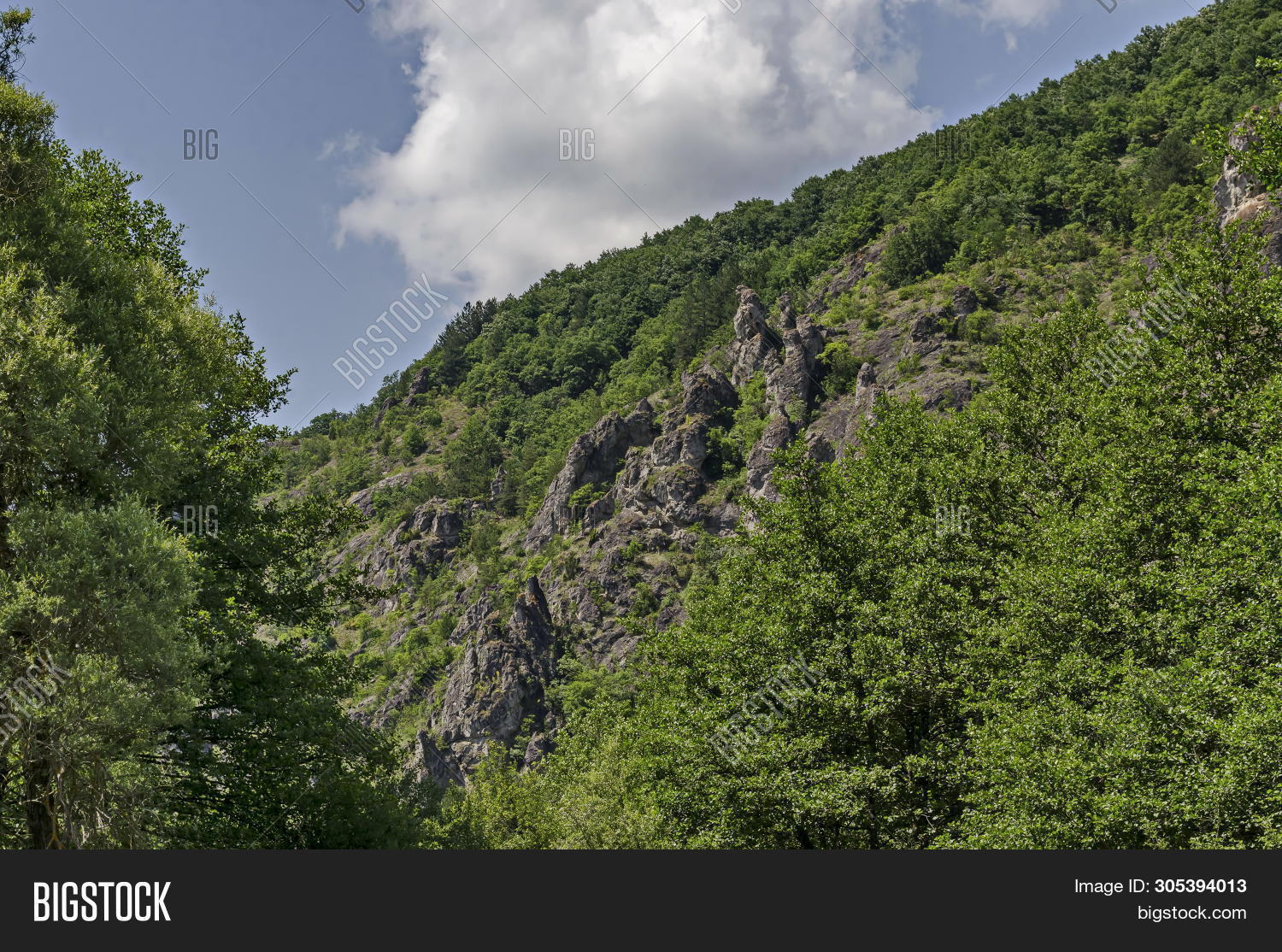 Large Well Formed Image & Photo (Free Trial) | Bigstock