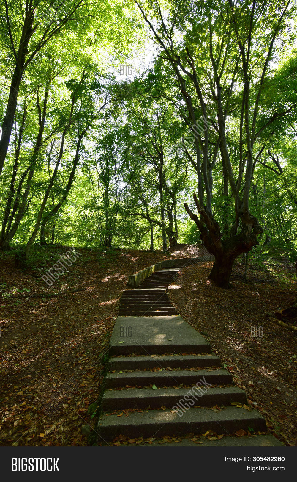 Walking Ladder Among Image & Photo (Free Trial) | Bigstock