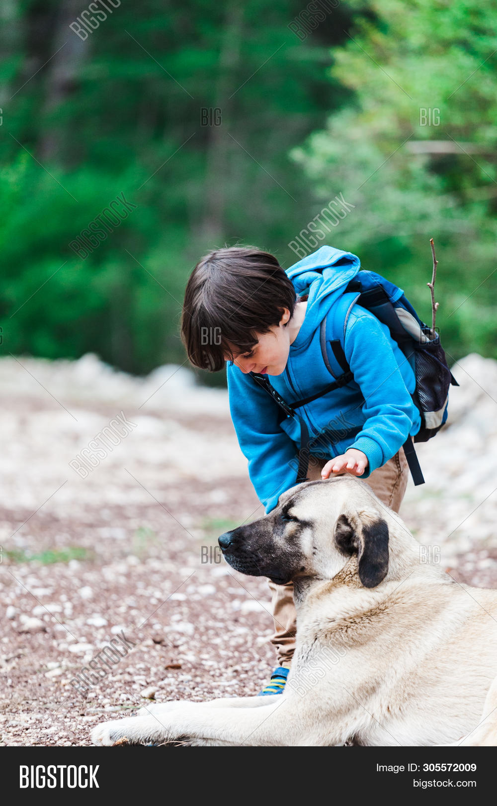 Boy Backpack Walks Dog Image & Photo (Free Trial) | Bigstock