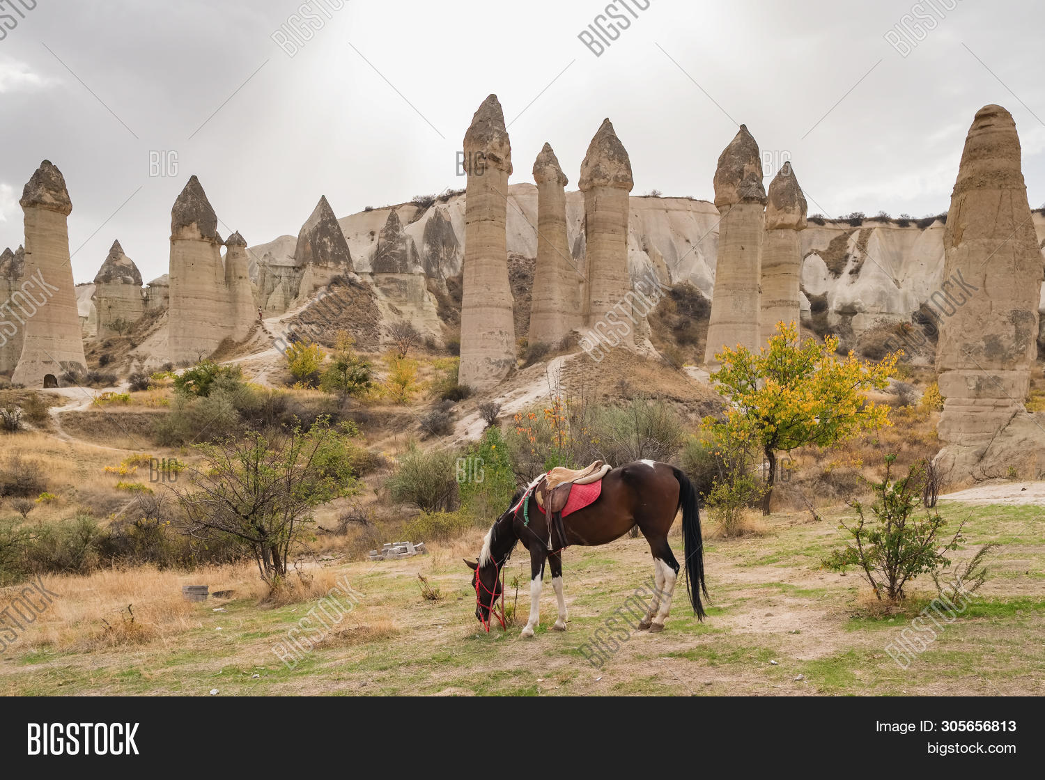 Horses Famous Rock Image & Photo (Free Trial) | Bigstock
