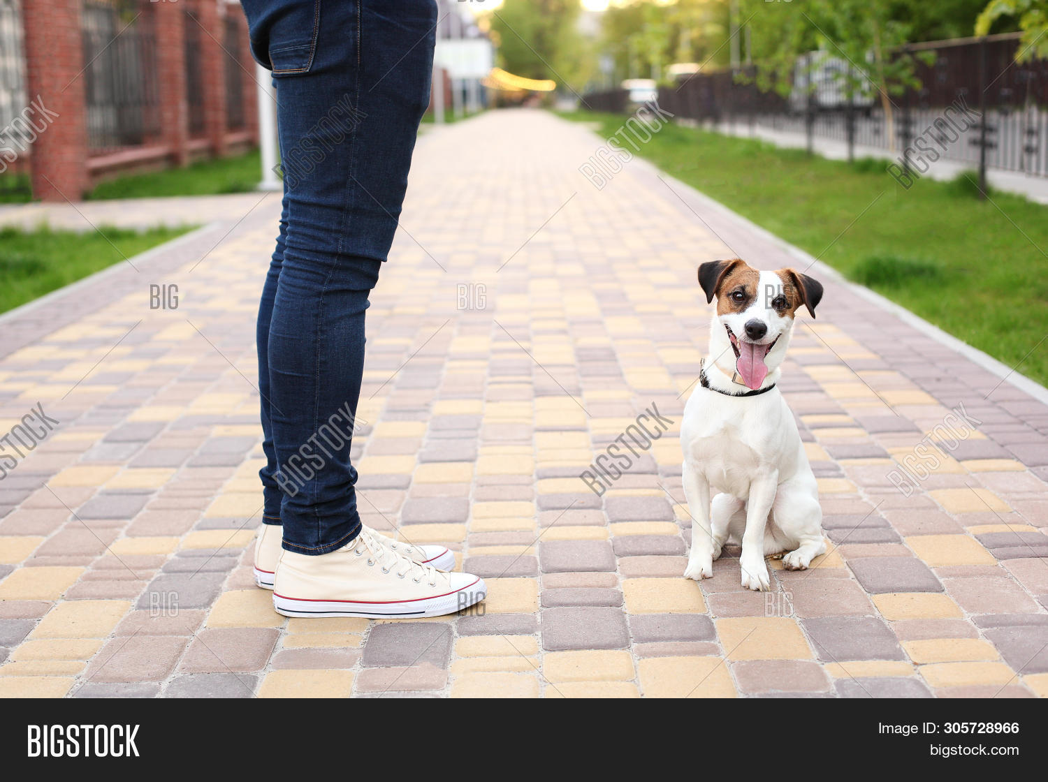 Man Dog Walk Park. Image & Photo (Free Trial) | Bigstock