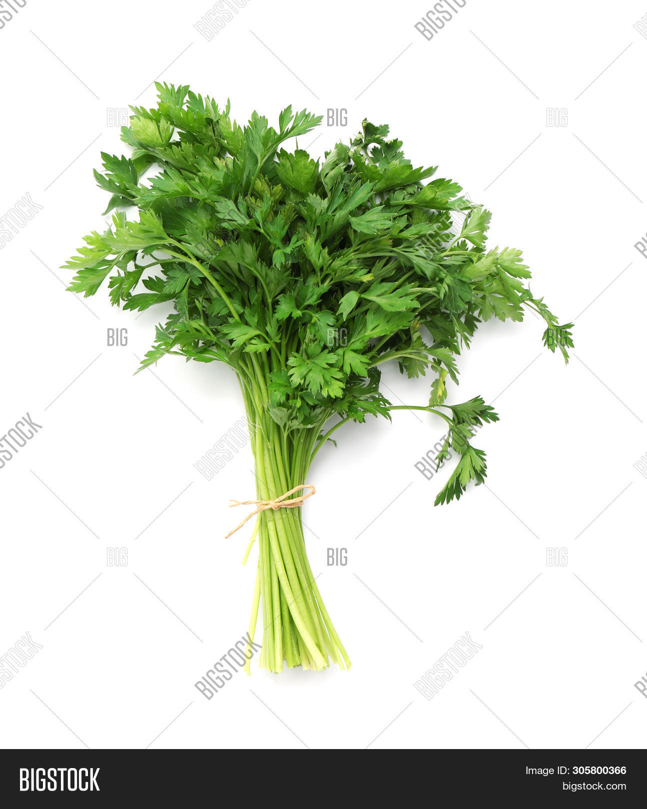 Bunch Fresh Parsley Image & Photo (Free Trial) | Bigstock