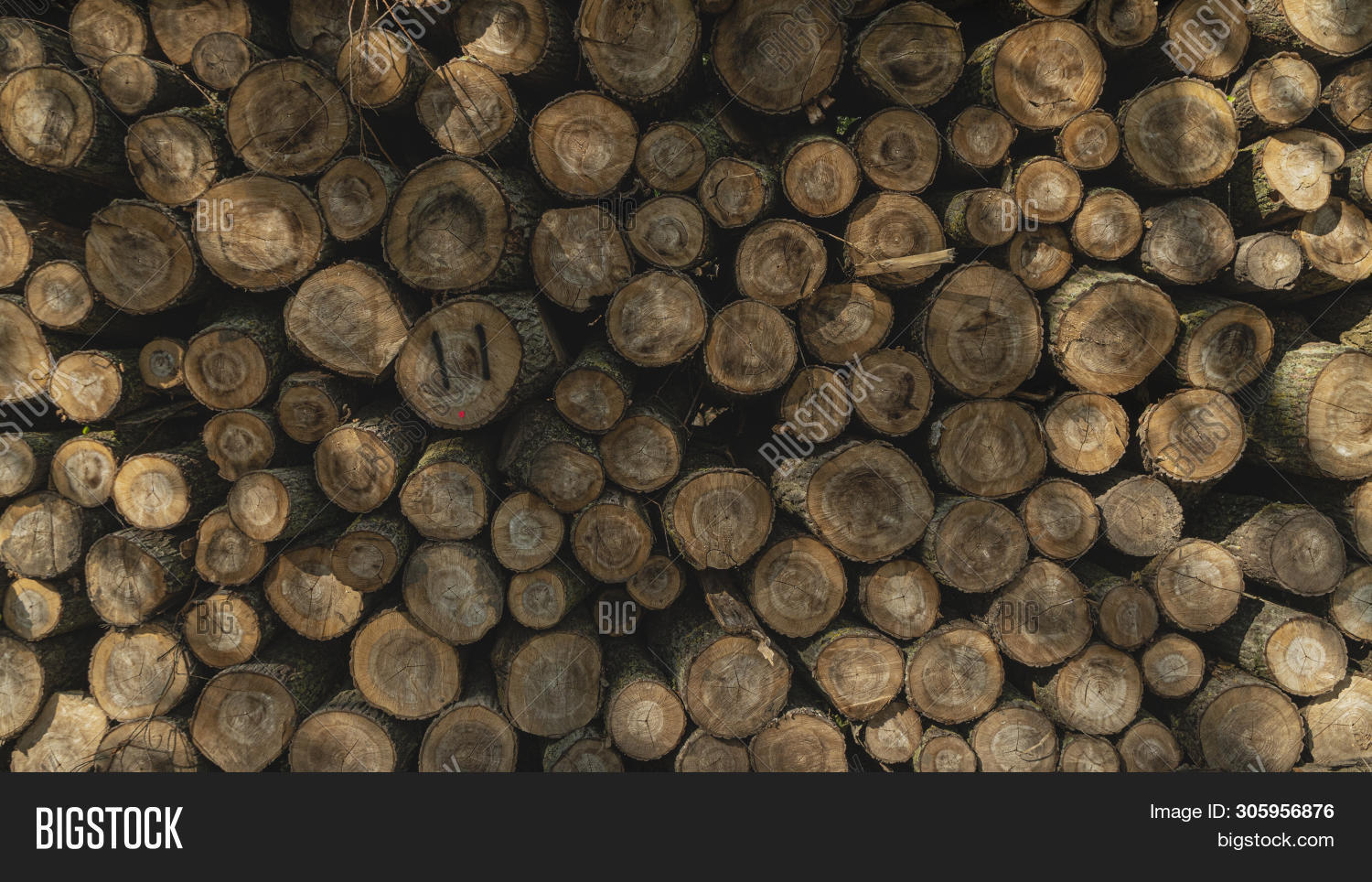 Felled Timber Stacked Image & Photo (Free Trial) | Bigstock