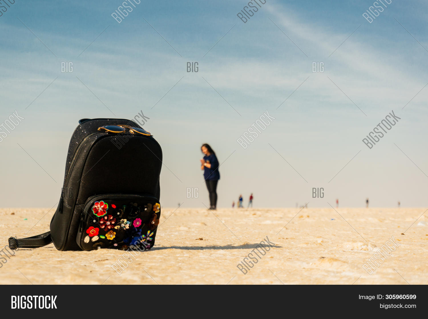 Backpack Placed On Image & Photo (Free Trial) | Bigstock