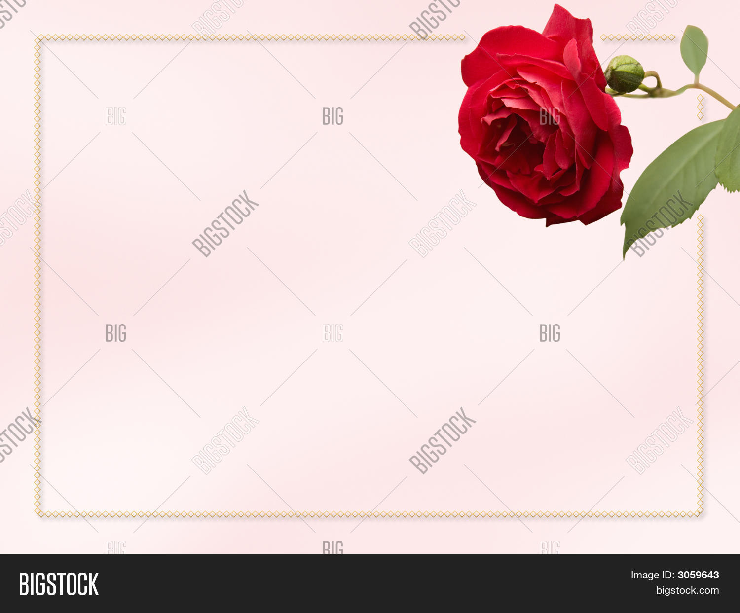 Rose Card Image & Photo (Free Trial) | Bigstock