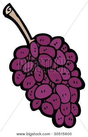 Bunch Grapes Cartoon Image & Photo (Free Trial) | Bigstock