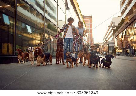 Group Happy Dog Image & Photo (Free Trial) | Bigstock
