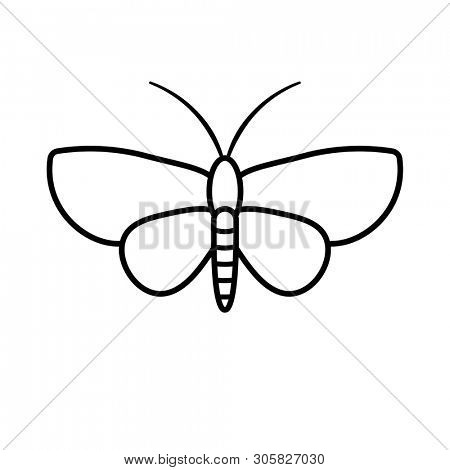 Clothing Moth Outline Image & Photo (Free Trial) | Bigstock