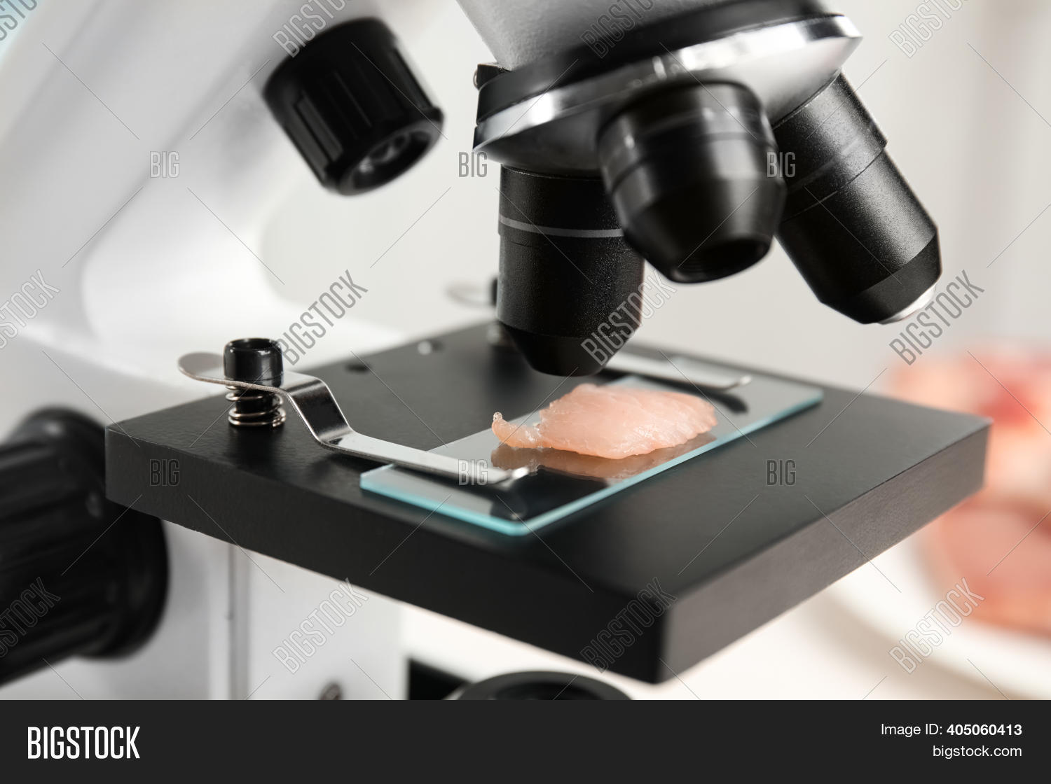 Slide Meat Sample On Image & Photo (Free Trial) | Bigstock